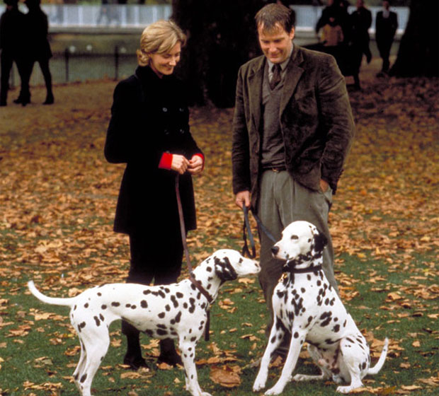 Messi, Marley, Lessie... Relembre aqui os cães mais famosos da ficção ...