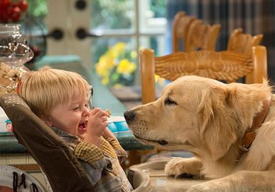 Gêmeos que interpretam Tommy em Fuller House chegam a ganhar mais de 60 ...