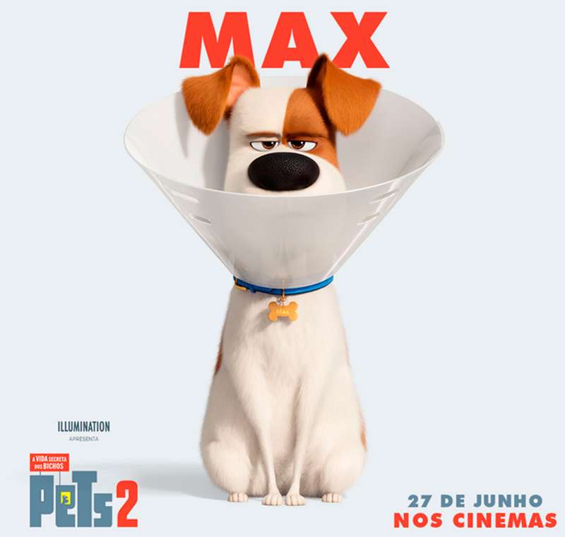 Dani Calabresa dubla nova personagem em Pets 2: A Vida Secreta dos ...