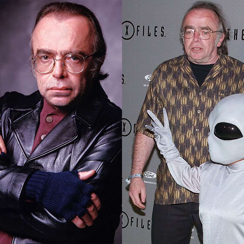 Gillian Anderson, David Duchovny, Annabeth Gish... Saiba como estão os ...