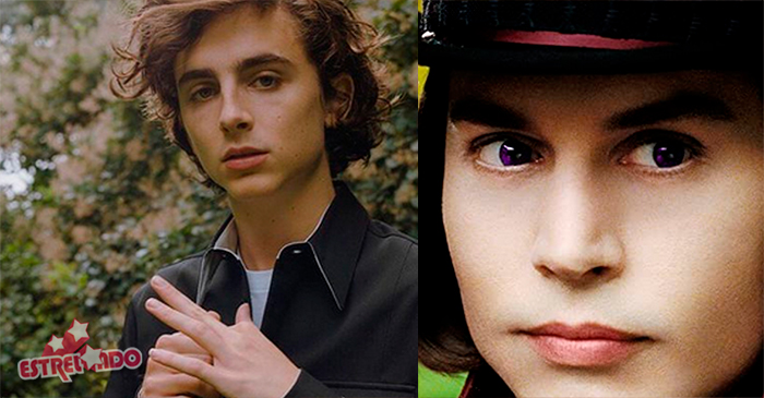 Timothée Chalamet viverá novo Willy Wonka nos cinemas; saiba mais ...