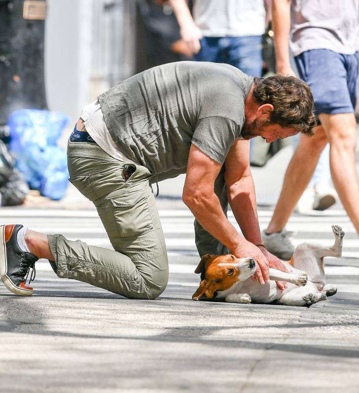 Gerard Butler é flagrado em momento fofo com cachorro na rua; veja ...