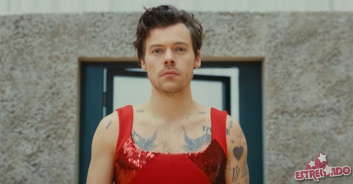 Harry Styles é atingido por nugget durante show e brinca com situação ...