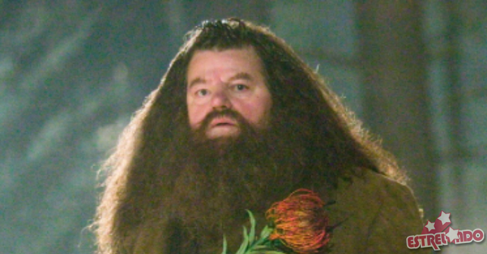 Hagrid em Harry Potter, Robbie Coltrane, morre aos 72 anos de idade ...