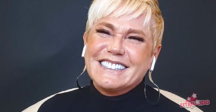 Depois de 14 anos, Xuxa Meneghel volta a fazer filme e interpretará ...