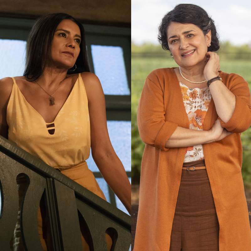 Mesma Energia Veja As Semelhanças Entre A Novela Pantanal E Terra E