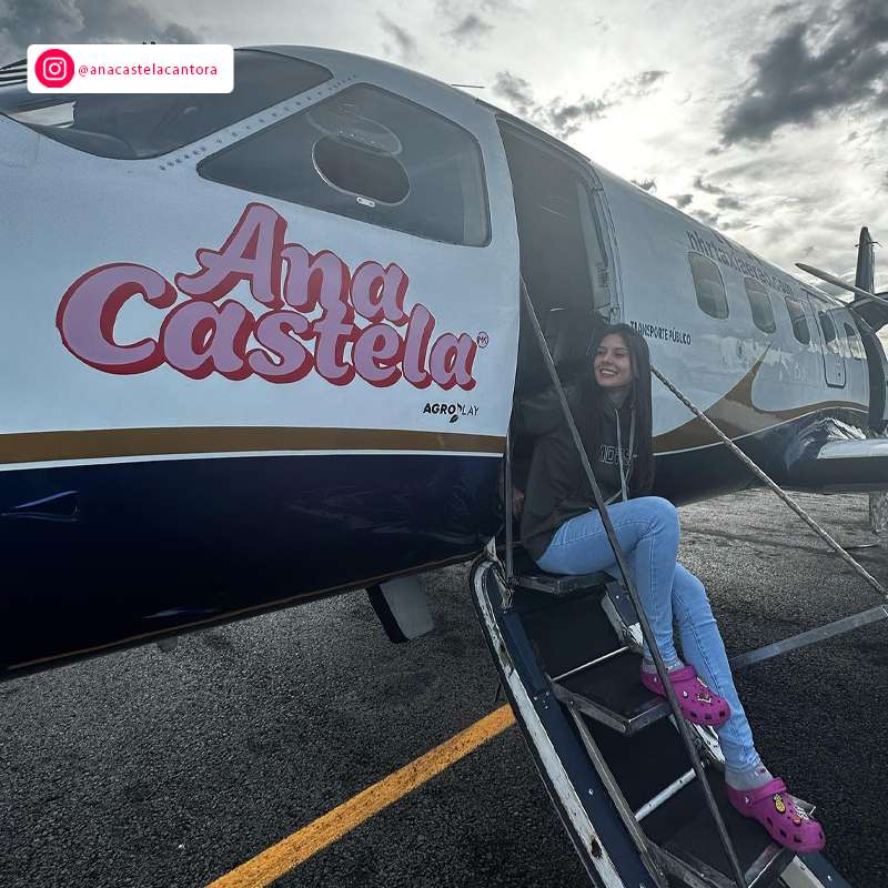 Veja algumas curiosidades sobre a vida de Ana Castela - Estrelando